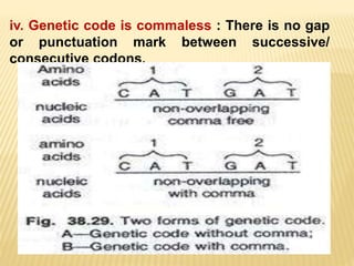 Genetic code properties | PPTX