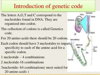 Genetic code properties | PPTX