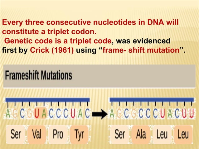 Genetic code properties | PPT
