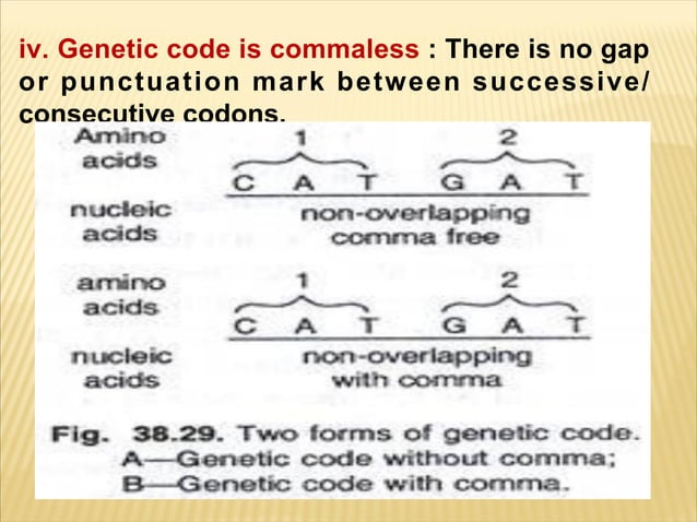 Genetic code properties | PPT