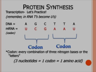 Genetic code properties | PPT