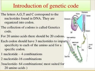 Genetic code properties | PPT