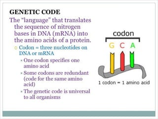 Genetic code properties | PPT