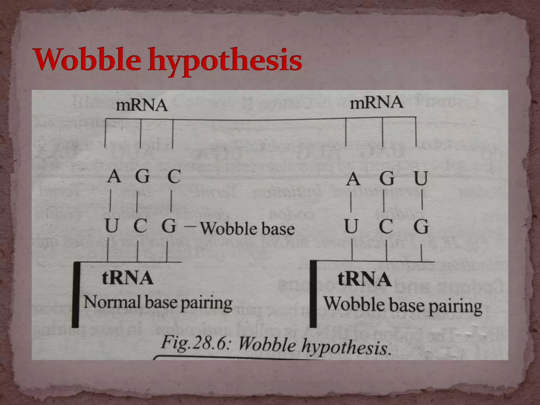 Genetic code - Charateristics | PPT