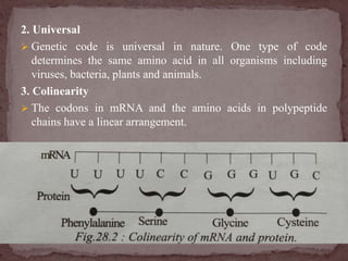 Genetic code - Charateristics | PPT