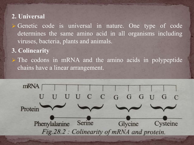Genetic code - Charateristics | PPT