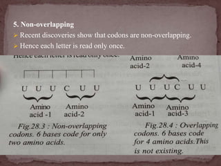 Genetic code - Charateristics | PPT