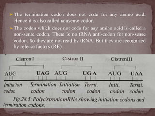 Genetic code - Charateristics | PPT