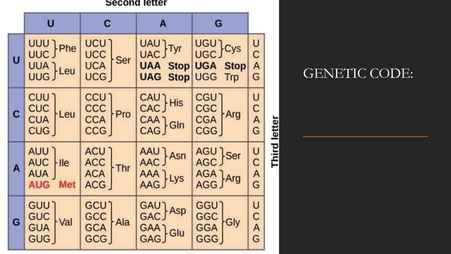 Genetic code | PPT