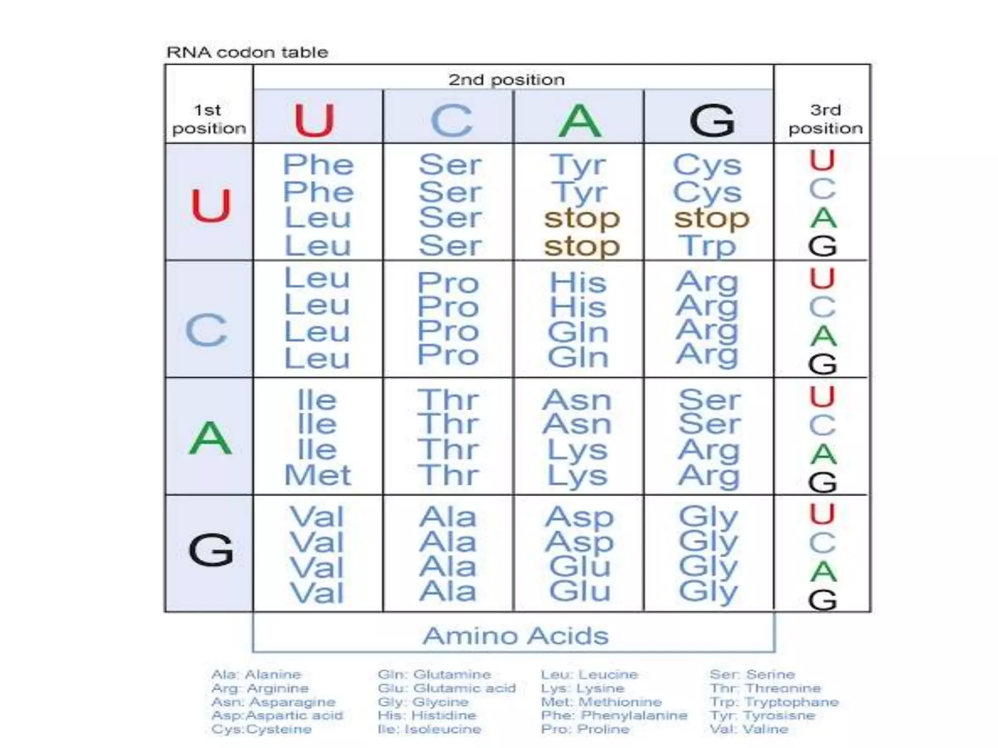 Genetic code | PPTX | Genetics | Science