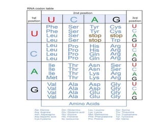 Genetic code | PPT