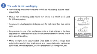 Genetic code.pptx