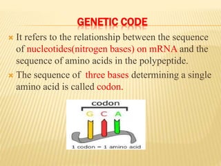genetic code.pptx
