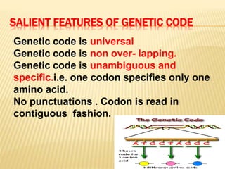 genetic code.pptx