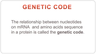 GENETIC CODE.ppt