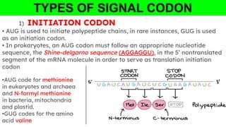 Genetic Code. A comprehensive overview..pdf