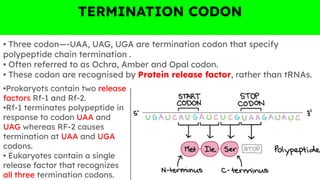 Genetic Code. A comprehensive overview..pdf