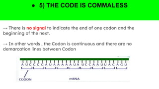 Genetic Code. A comprehensive overview..pdf