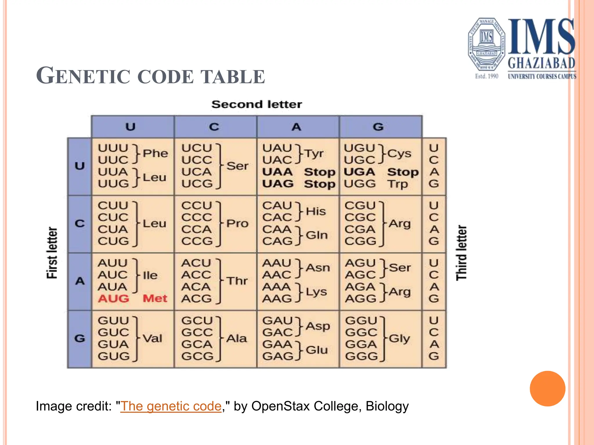 Genetic code microbiology molecular biology | PPTX
