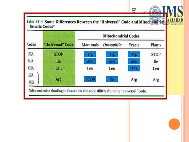 Genetic code microbiology molecular biology | PPT