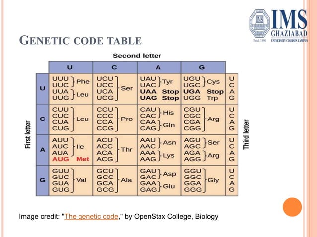 Genetic code microbiology molecular biology | PPT