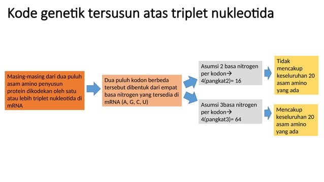 GENETIC CODE.ppt for genetic education#### | PPT