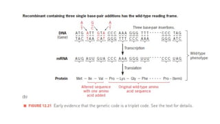 GENETIC CODE.ppt for genetic education#### | PPT