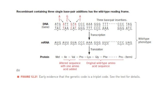 GENETIC CODE.ppt for genetic education#### | PPT
