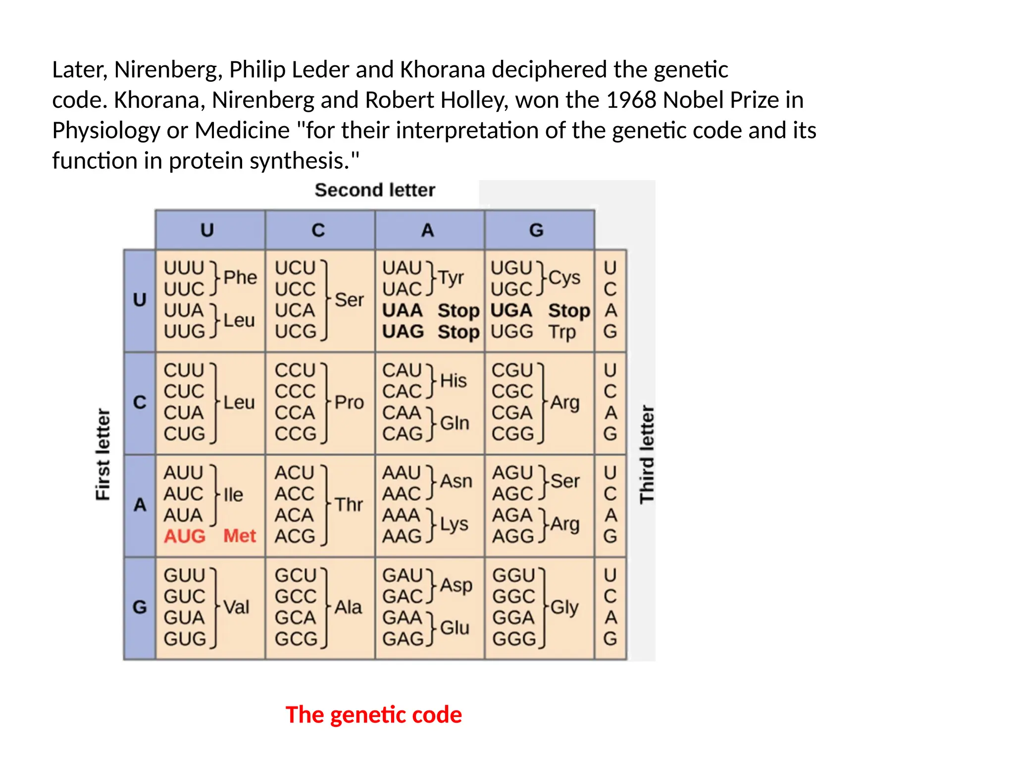 deciphering the genetic code and its features | PPTX