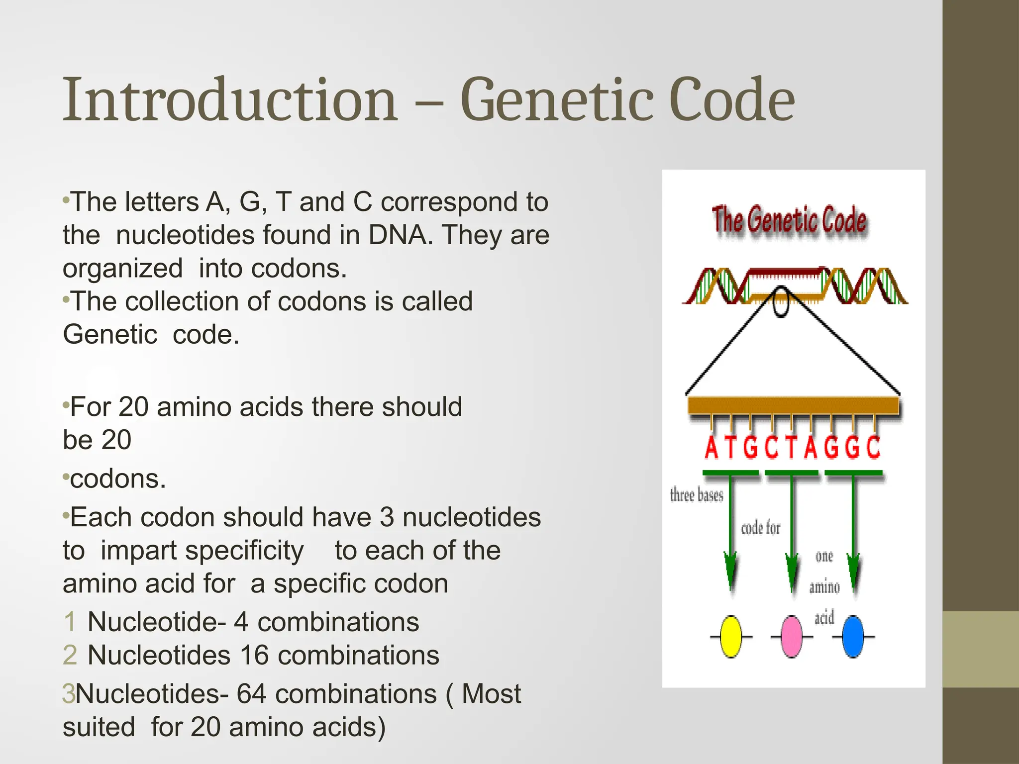 GENETIC CODE's (Types of Mutations).pptx