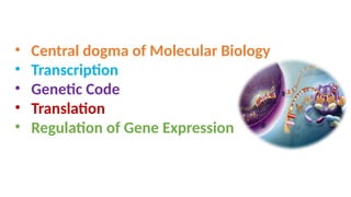Genetic Code From Principles Of Genetics | PPTX