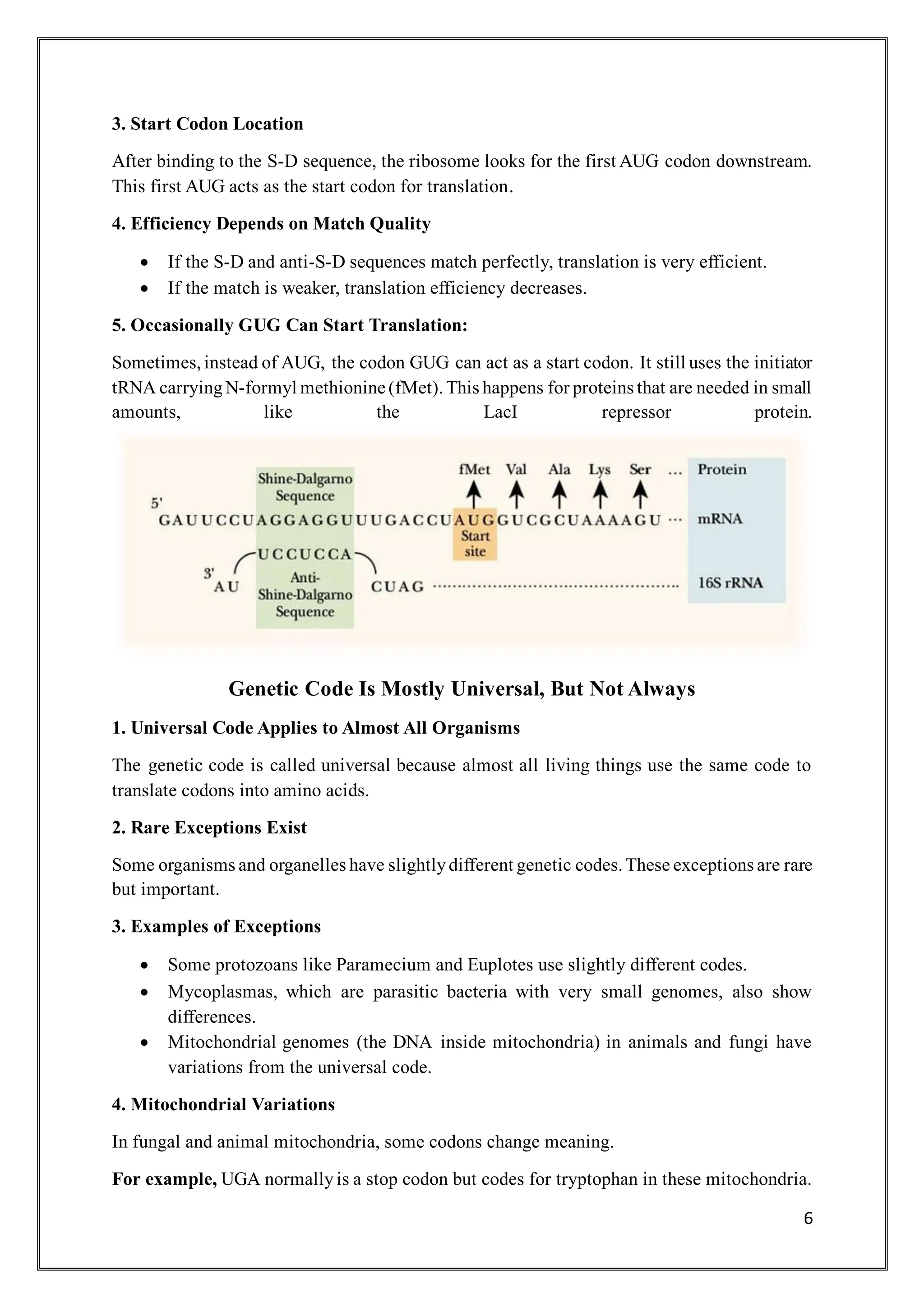 GENETIC CODE AND ITS ROLE IN PROTEIN SYNTHESIS.pdf