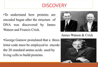 Genetic code slide | PDF