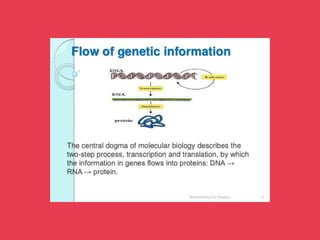 Genetic code wps office | PPT