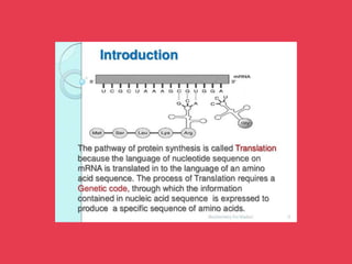 Genetic code wps office | PPT