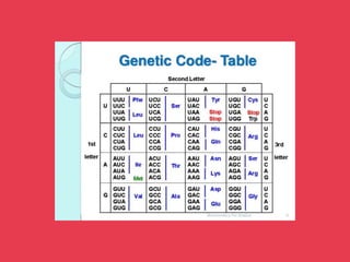 Genetic code wps office | PPT