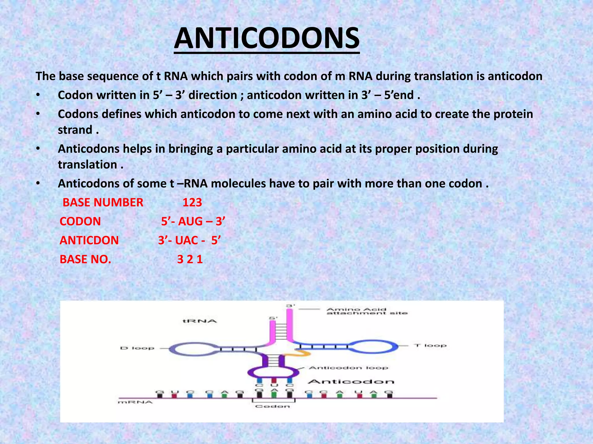 GENETIC CODE 2.pptx