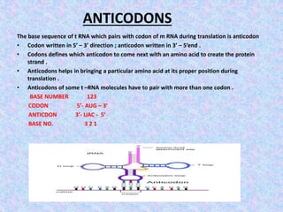 GENETIC CODE 2.pptx