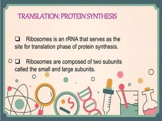genetic code 3.pptx for your science presentation this is what you need ...
