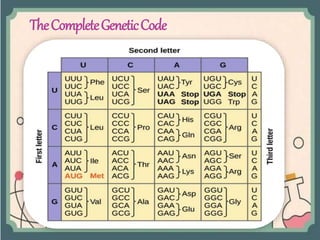 genetic code 3.pptx for your science presentation this is what you need ...