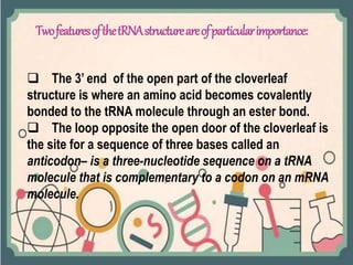 genetic code 3.pptx for your science presentation this is what you need ...