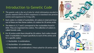 Genetic Code and Protein Biosynthesis.pptx