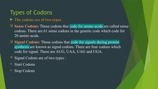 Genetic Code and Protein Biosynthesis.pptx