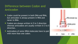 Genetic Code and Protein Biosynthesis.pptx