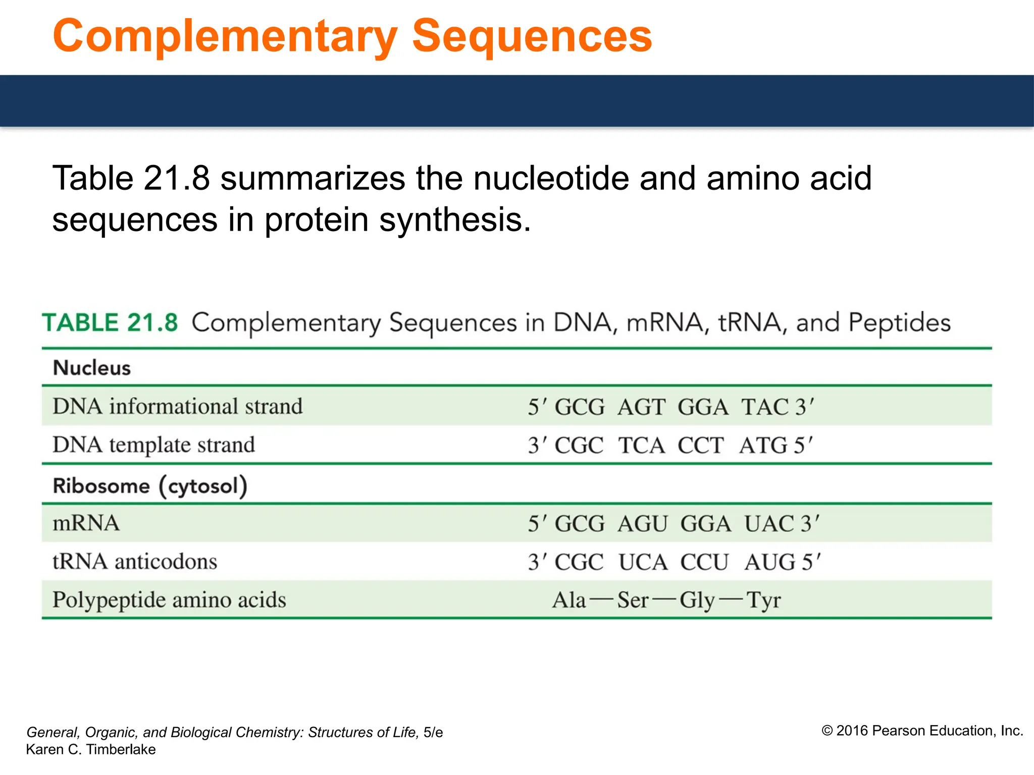 Genetic code and protien synthesis.pptx