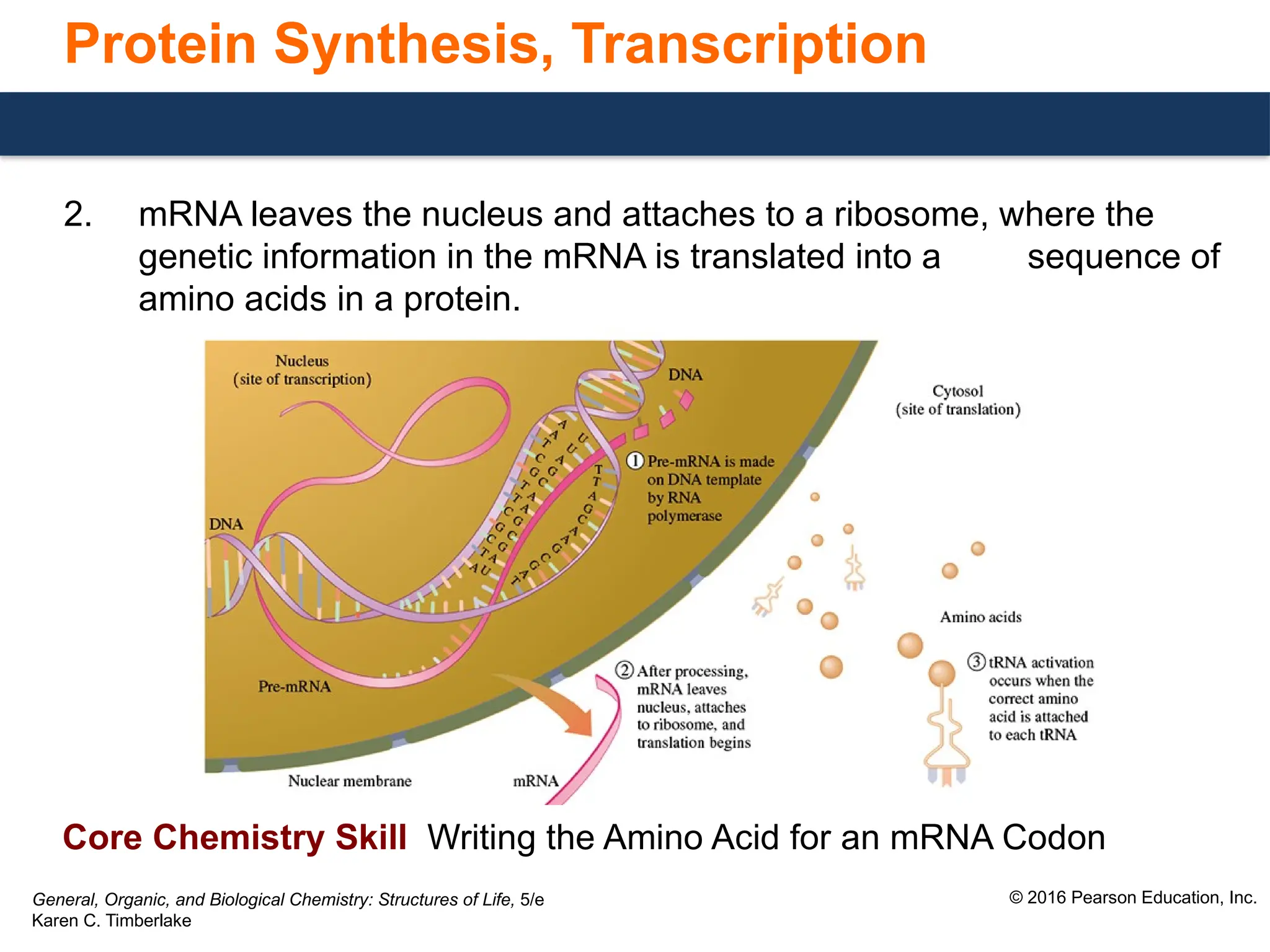 Genetic code and protien synthesis.pptx