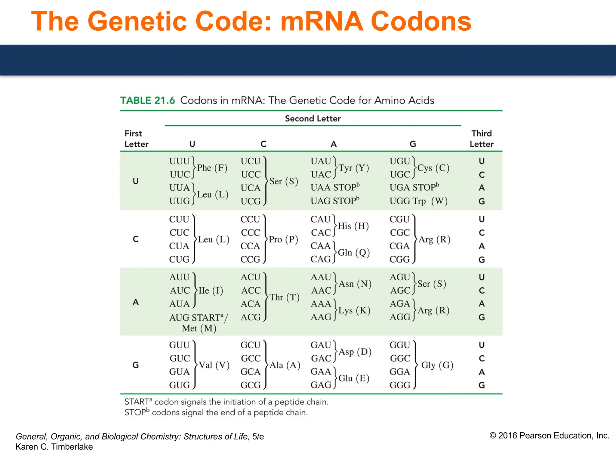 Genetic code and protien synthesis.pptx