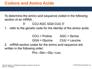 Genetic code and protien synthesis.pptx