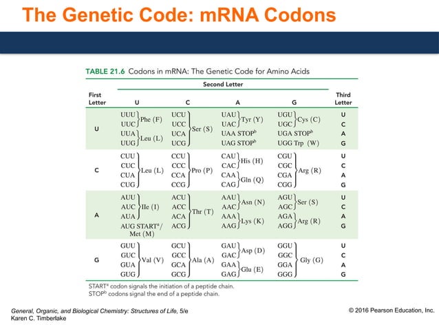 Genetic code and protien synthesis.pptx