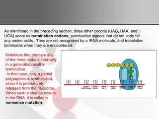 Genetic code and transcription | PPTX